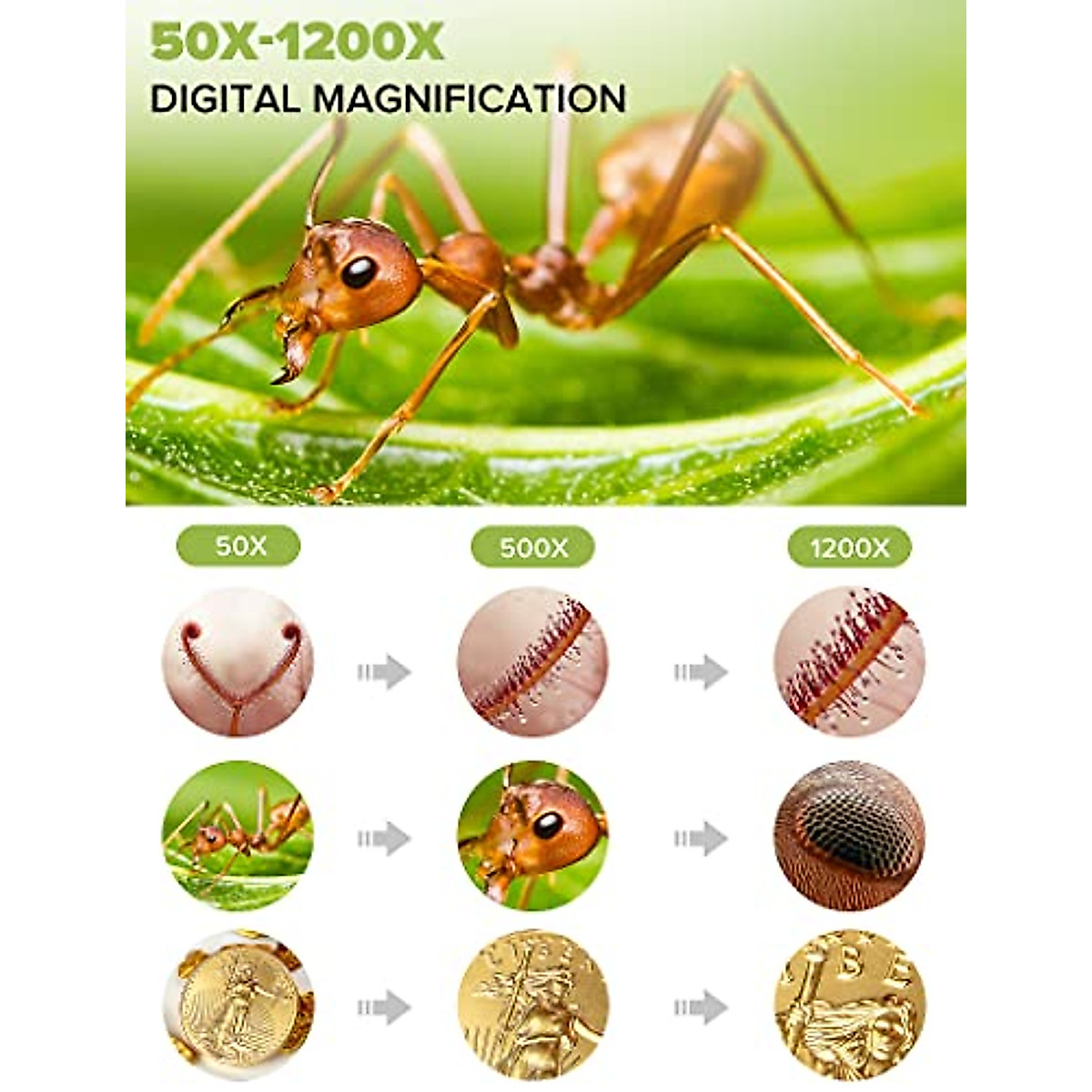 ANNLOV 7" LCD Digital Microscope with 32GB TF Card 1200X Maginfication 1080P Coin Microscope, 48Pcs Prepared Microscope Slide