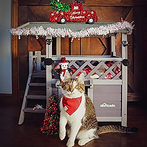 Cat House with Door for Feral Cats, Rainproof Outside Kitty House, 2 Story Wooden Kitten Condo with Stairs (AIR09-BS)