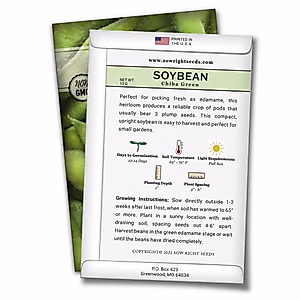Sow Right Seeds - Chiba Green Soybean Seed for Planting - Non-GMO Heirloom Packet with Instructions to Plant a Home Vegetable Garden - Old Fashioned Bush Soybean Variety - Wonderful Gardening Gift