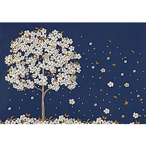 Falling Blossoms Note Cards (Stationery, Boxed Cards)