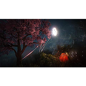 Black Desert - Prestige Edition (PS4)