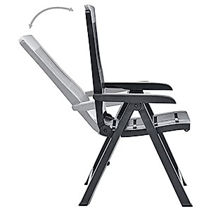 vidaXL 2X Patio Reclining Chair Garden Outdoor Balcony Terrace Lounge Dining Dinner Folding Foldable Seating Bistro Chairs Plastic Anthracite