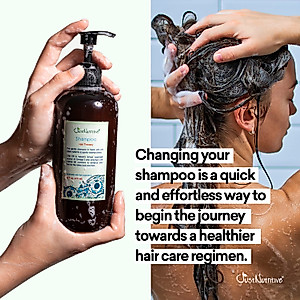 Hair Loss Therapy Shampoo & Conditioner | Hair Loss products for Thinning Hair | Hair Growth products for Men and Woman | Just Nutritive | 16 Oz