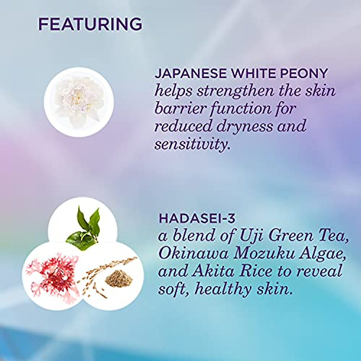 TATCHA Revitalizing Neck Cream: Hydrate, Smooth & Nourish Delicate Skin on Neck and Décolletage, 50 ml | 1.7 oz