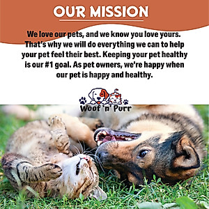 Dog Glucosamine - Supports Hip & Joint Health, & Much More - Glucosamine for Dogs Hip and Joint Supplement - Glucosamine for Dogs - Dog Joint Supplement - Glucosamine Chondroitin for Dogs - 1 fl oz