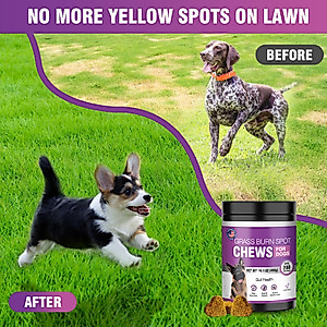 Grass Burn Spot Chews for Dogs Dog Pee Grass Neutralizer 200 Green Grass Dog Chews Urine Lawn Spot Protector Urinary Tract Support Dog Bladder Support Cranberry, Apple Cider Vinegar, DL-Methionine