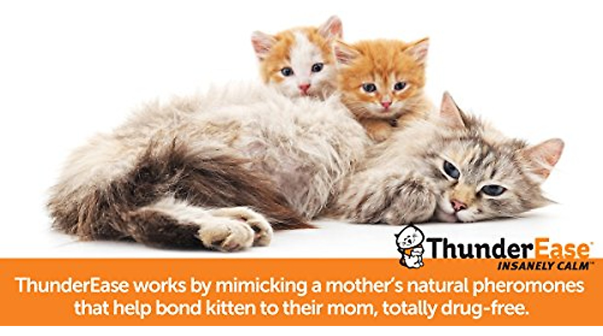 ThunderEase Multicat Calming Diffuser Refill | Reduce Cat Conflict