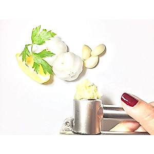 Ikea Koncis Garlic Press, Stainless Steel