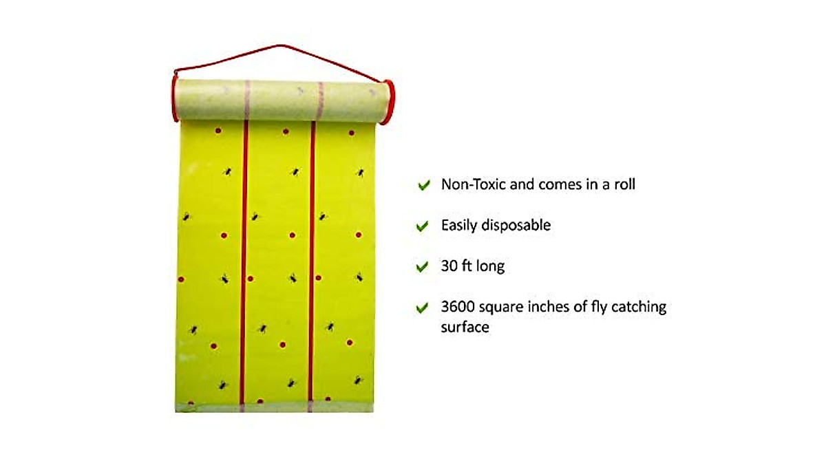 Giant Fly Glue Trap by Catchmaster – 3 Pack, Up to 12 Months Protection