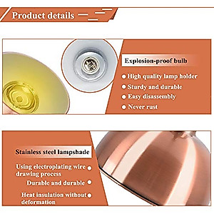 JIAWANSHUN D Type Food Warmer Lamp Food Heat Lamp Warmer with Bulb 250W 290mm Commercial Food Warmer Retractable Heat Lamps Catering Food Warmers Restaurant Supplies Food Service (Champagne) 110V