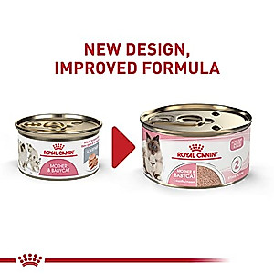 Royal Canin Feline Health Nutrition Mother & Babycat Ultra Soft Mousse in Sauce Canned Cat Food, 3 oz (Pack of 24)