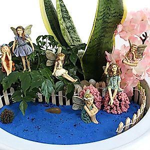 Beruyu 6 Pieces Fairy Garden Accessories, Fairy Garden Miniature Fairies Figurines for Mini Garden Lawn and Potted Plants Decoration
