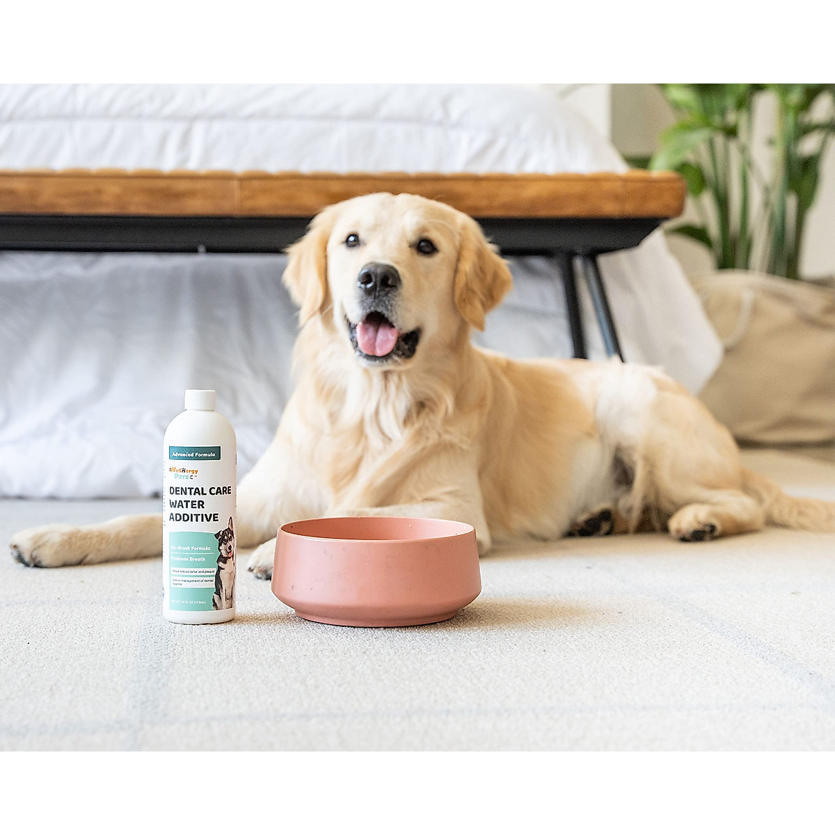 Wellnergy Pets Dental Care Water Additive for Dogs & Cats – No Brush Formula, Oral Hygiene & Fresh Breath, Reduce Plaque and Tartar. 16 FL OZ