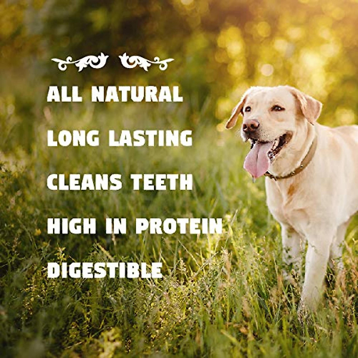 Downtown Pet Supply Dog Bones - Cow Hooves for Dogs Made in USA - Dog Dental Treats & Rawhide Free Dog Chews - Dog Chew Bones - Grass Fed Beef Hooves Stuffed with BBQ - 5 Pack