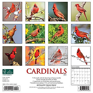 Cardinals 2021 Wall Calendar