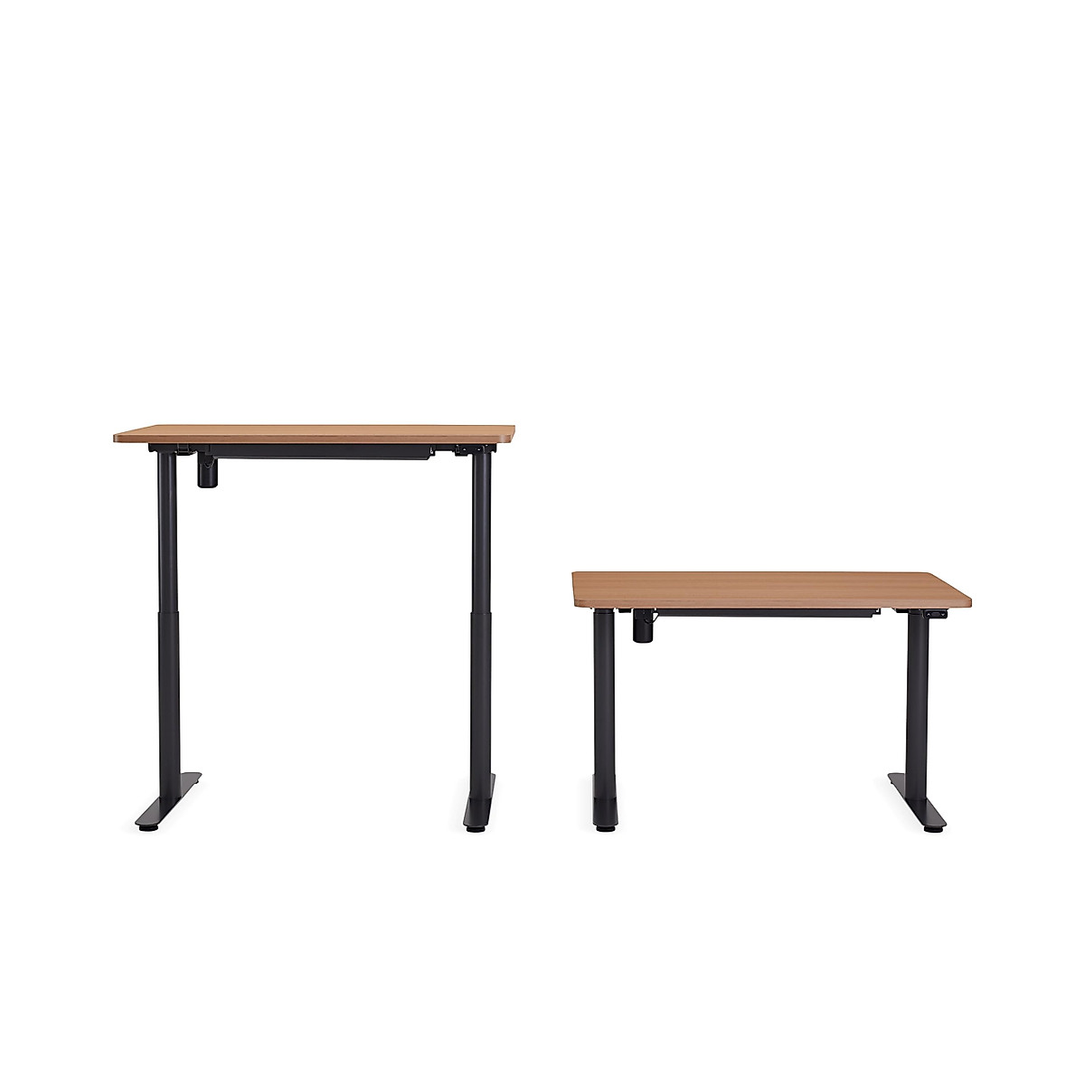 Steelcase AMQ Solo Sit-to-Stand Desk - Standing Adjustable Desk - Powerful Computer Standing Desk - Easy Assembly Computer Desk - Merle Base & Dark Oak Top