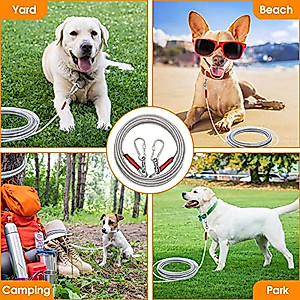 Dog Tie Out Cable for Dogs Outside Up to 125/250lbs,10/20/30/50FT Long Dog Leashe&Chains,Small-Large Dogs Runner Cable for Yard,Heavy Duty Dog Lead Line for Outdoor,Camping,Yard(250lbs 10FT, Silver)