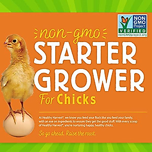 Healthy Harvest N1039C5 1 Piece 22-Percent Chick Starter Grower Crumbles For Poultry, 5 Lb