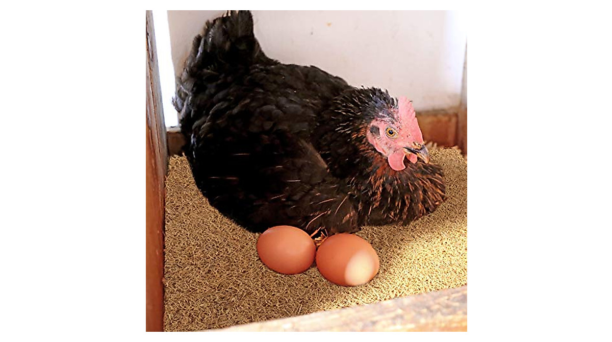 Aulock 10 Pack Coco Coir Nesting Pads for Chickens | Natural & Reusable
