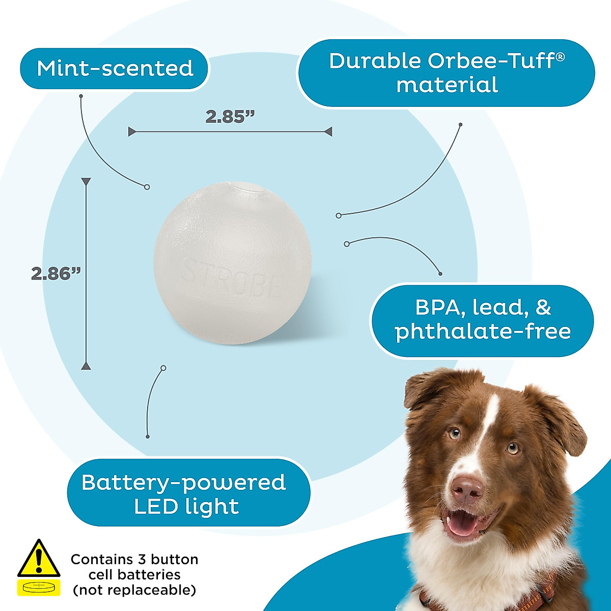 Outward Hound by Planet Dog Strobe Ball Glo Light Up LED Ball Dog Toy