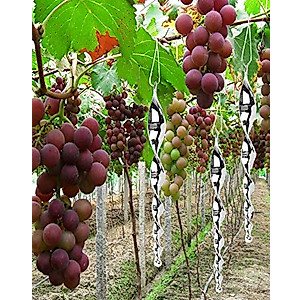 Home-X Bird Repellent Reflective Scare Rods-Ornaments, Outdoor Hawk and Duck Deterrent, Ornamental Spiral Deterrent Control Device-11 (6-Pack)