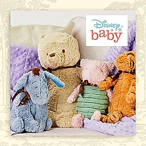 Disney Baby Classic Winnie the Pooh and Friends Stuffed Animal, Eeyore 9 Inches, 1 Count (Pack of 1)