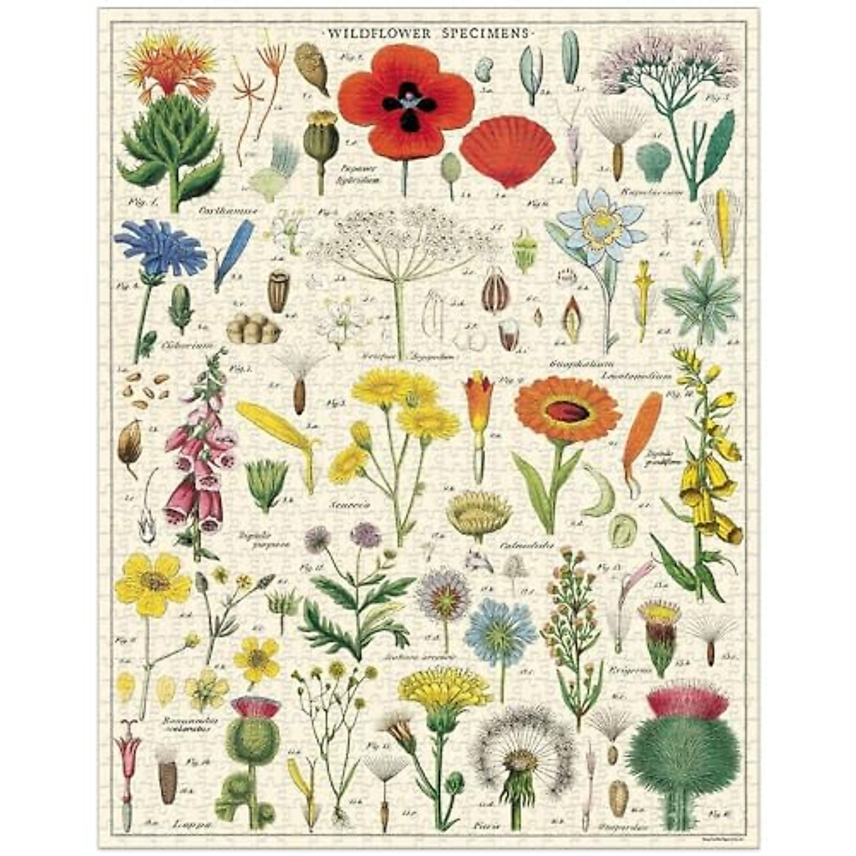 Cavallini Papers & Co. Wildflowers 1,000 Piece Puzzle, Multi