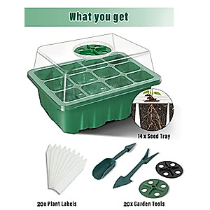 14 Packs Seed Starter Tray, 168 Cells Total Tray, Seed Starting Kit with Adjustable Humidity Dome and Base Plant Starter Kit Mini Greenhouse Germination Kit with 2 Garden Tools and 20 Plant Labels