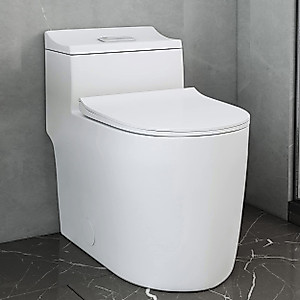 WinZo WZ5080S Dual Flush One Piece Toilet With 10" Rough-in Elongated Comfortable Height, White