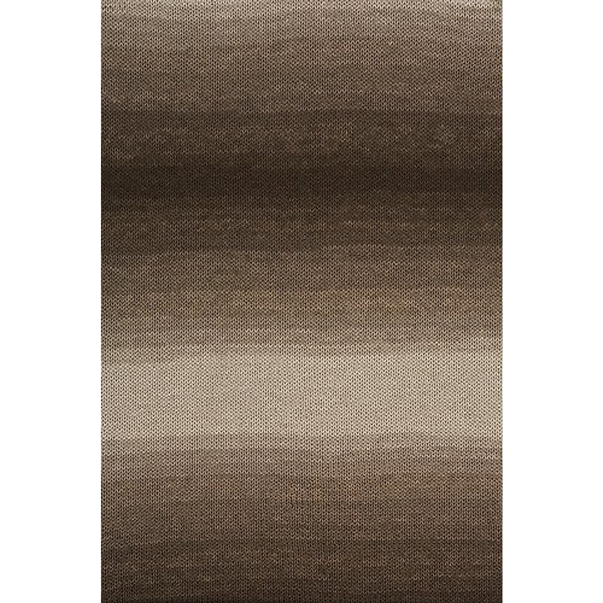 Coats & Clark Super Saver Ombre Yarn, 10 oz, Cocoa