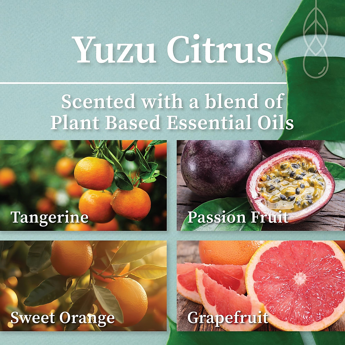 Hemlock Park Apothecary Candle Trio | Gift Set of Three 4 oz Candles Handcrafted with Natural Coconut Wax (Citrus | Pomelo, Yuzu, Blood Orange Sage)