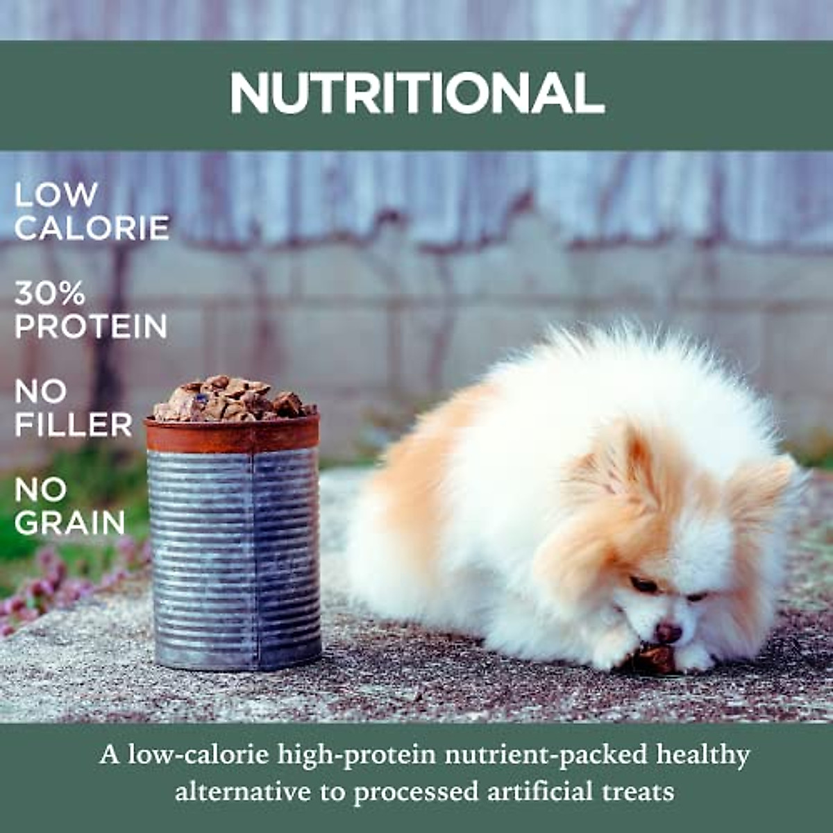 K9 Connoisseur Low to Odor Free Slow Roasted Beef Lung Dog Treats Made in USA, One Ingredient Dog Treats & All Natural Dog Treats, Grain Free Dog Treats for All Breeds & Sizes - 2.5 Pounds