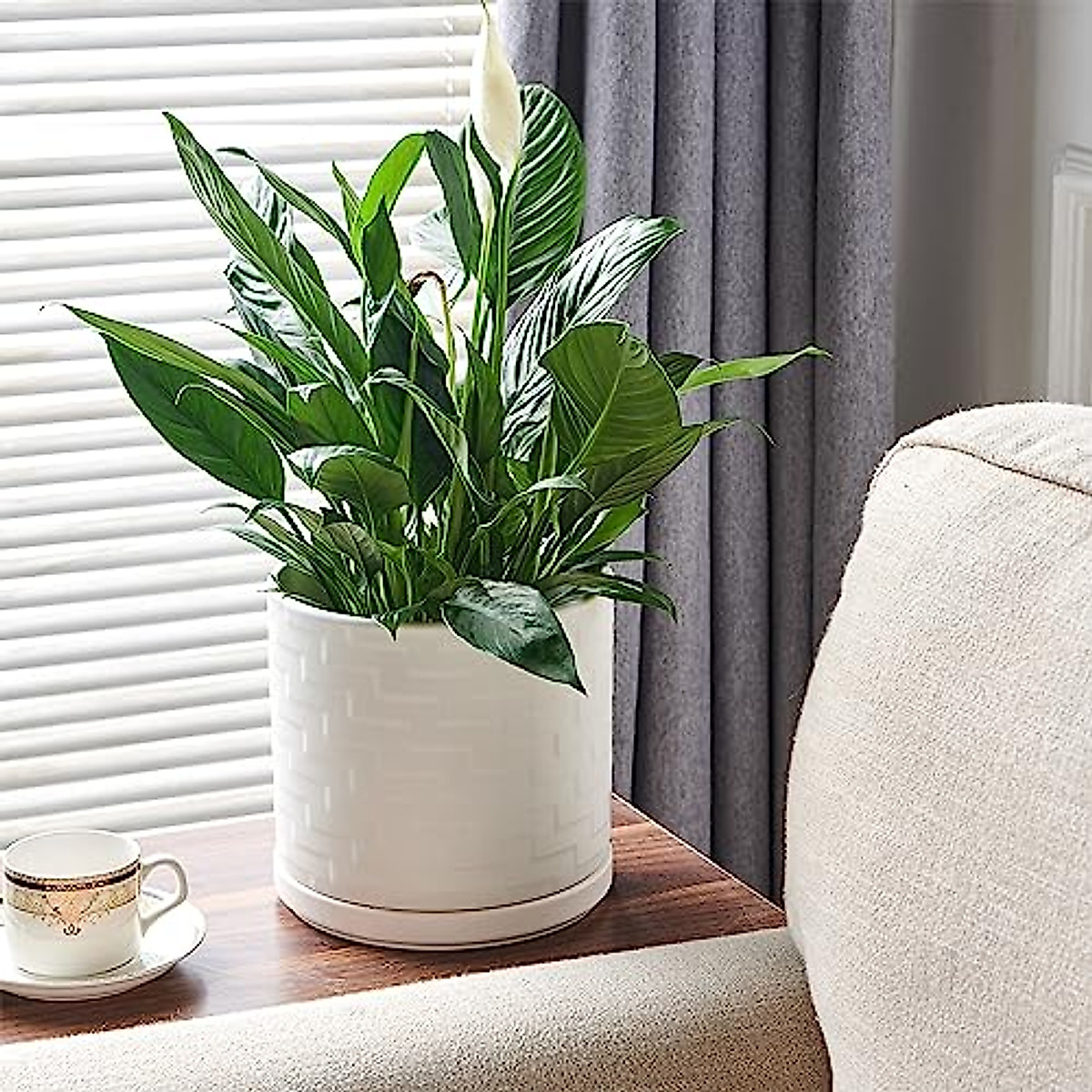Tagobar Planter Plant Pot - 6 Inch Indoor Pots for Plant Lines Pattern Ceramic White Flower Pot with Drainage Holes & Tray (Plant Not Incolued)