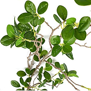 3pcs Artificial Branches Plants Greenery Stems Faux Branches for Vase Plant Artificial Eucalytus Branches Fake Ficus Twig (45"/Each Branch) (Green)