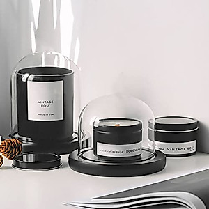 ZOOFOX Set of 2 Glass Dome Cloche with Black Wooden Base, 6" x 7" Decorative Bell Jar Display Dome for Plants, Fairy Lights, Photos, Succulents and Medals