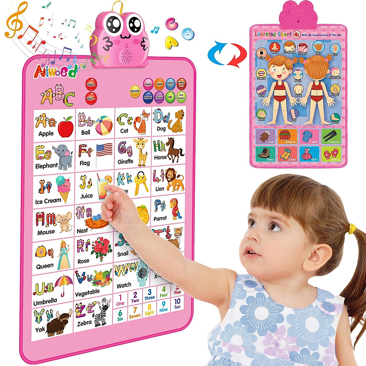 Electronic Interactive Double-Sided Alphabet Wall Chart, Talking ABC & 123 & Music & Learning Poster, Educational Toddlers Toys for Ages 2-4 and Up Kids Gifts, Best for Preschool Boys & Girls(Pink)