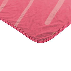 Northwest Cartoon Network Micro Raschel Throw Blanket Powerpuff Girls, Day Saved, 46" x 60"