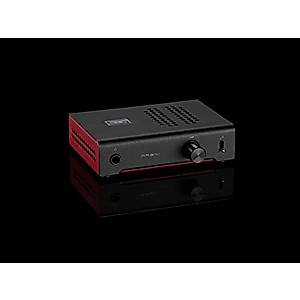 Schiit Magni Heretic Affordable No-Excuses Op-Amp Headphone Amp & Preamp (Black)
