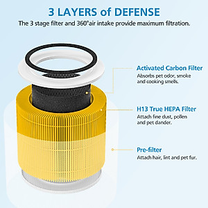 2 Pack Core 300 Replacement Filter for LEVOIT Core 300 and Core 300S Air Purifier, 3-in-1 Core 300 Pet Aller-gy Filter Efficiency Activated Carbon Filtration System, Core 300-RF-PA