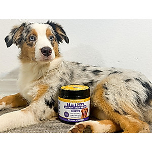 Profound Pets Pet Allergy and Itch Relief, Dog Allergy Chews, Intermittent Itchiness, Pet Probiotic, Seasonal Allergies - Anti Itch Support