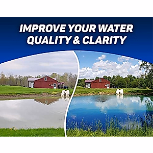 Crystal Blue Lake and Pond Dye - 1 Gallon - Royal Blue Color Treats up to 1 Acre - Clean, Clear & Crystal Blue Water - Environmentally Friendly Pond Dye