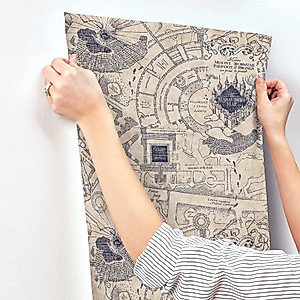 RoomMates RMK12436RL Blue Harry Potter Marauder's Map Peel and Stick Wallpaper