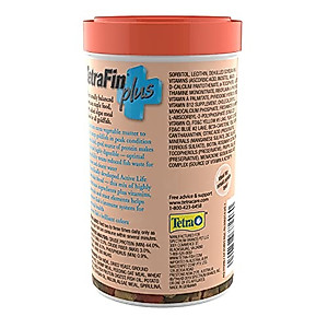 TetraFin Plus Goldfish Flakes 2.2 Ounces, Balanced Diet, With Algae To Promote Health,Oranges