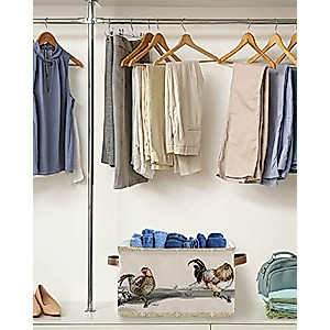 1 PC Large Storage Basket Bins Waterproof Fabric, Rooster Ink Painting Rectangular Storage Box for Shelf Closet Organizer Chinese Farm Chicken Cock Plant