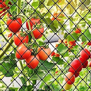 Bird Netting, Garden Netting with 3/4” Mesh Net as Poultry Netting for Chicken Coop, Heavy Duty Nylon Netting for Garden Protection, Fruit Tree Netting for Orchard, Vegetable Against Squirrels, Deer