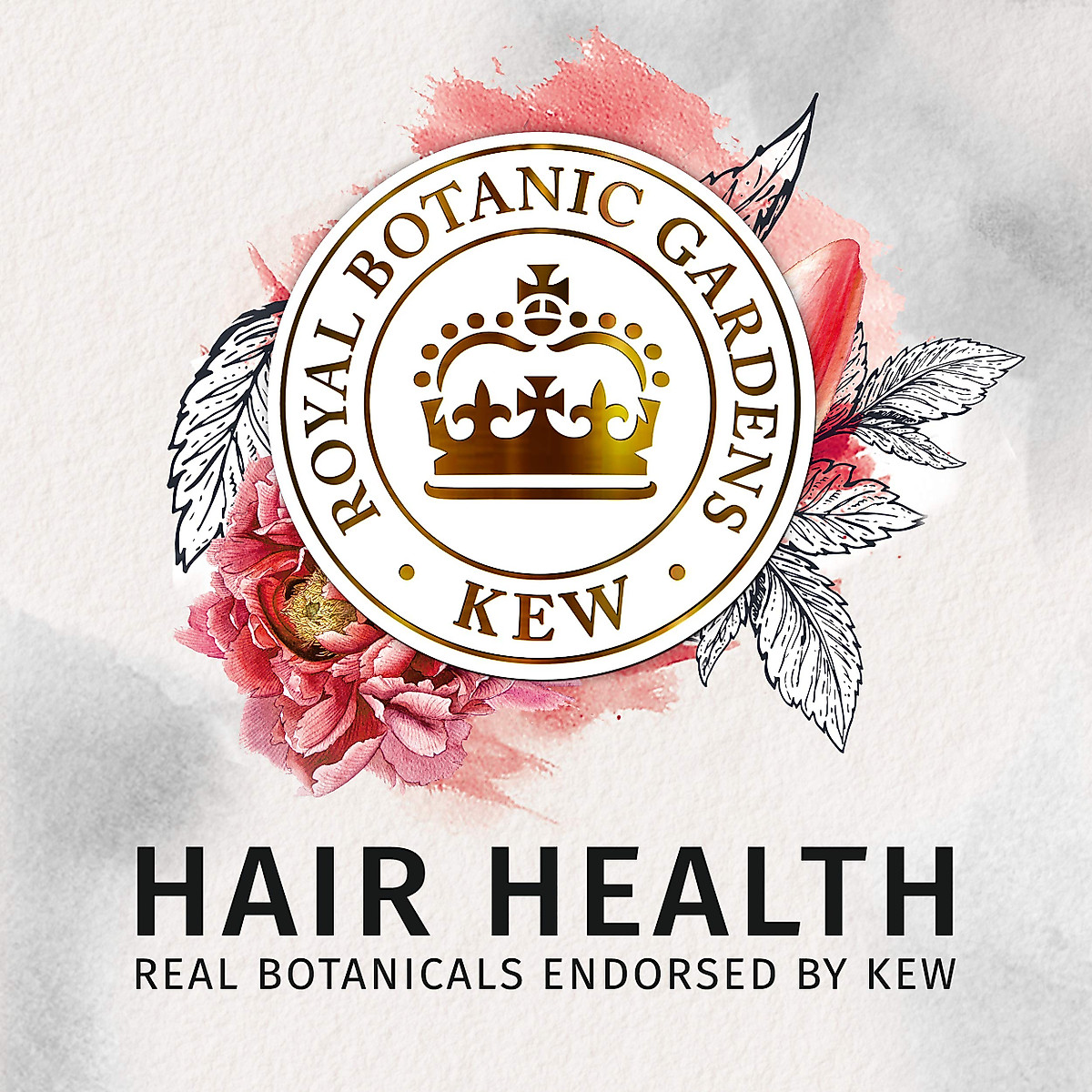 Herbal Essences, Shampoo and Conditioner Kit With Natural Source Ingredients, Color Safe, BioRenew Detox Charcoal, 13.5 fl oz, Kit