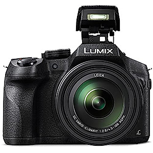 Panasonic Lumix DMC-FZ300 Digital Camera (DMC-FZ300K) - Bundle - with 256GB Memory Card + DMW-BLC12 Battery + Digital Flash + Soft Bag + 12 Inch Flexible Tripod + Cleaning Set + More