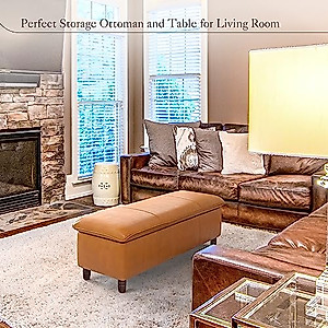 LUE BONA Storage Ottoman Bench, 49" Brown Faux Leather Storage End of Bed Bench, Modern Upholstered Window Bench with Thicker Seat/Nailhead Trim/Safety Hinge for Bedroom, Living Room, 300LB