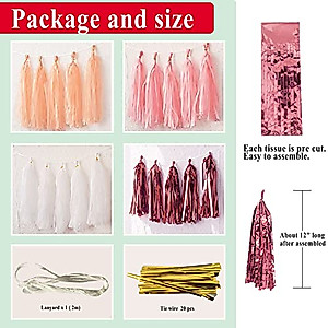 Rose Gold Tissue Paper Tassels Garland Banner for Party Birthday Wedding Decoration Baby Shower Table Decor (20 Pcs)