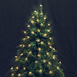 shinymolly 2 Pack Solar String Lights Outdoor Decoracion, 50 LED 21.3ft Warm White Waterproof Fairy Flower String Christmas Lights for Tree, Patio, Indoor Garden, Room, Holiday(50L-Warm White)